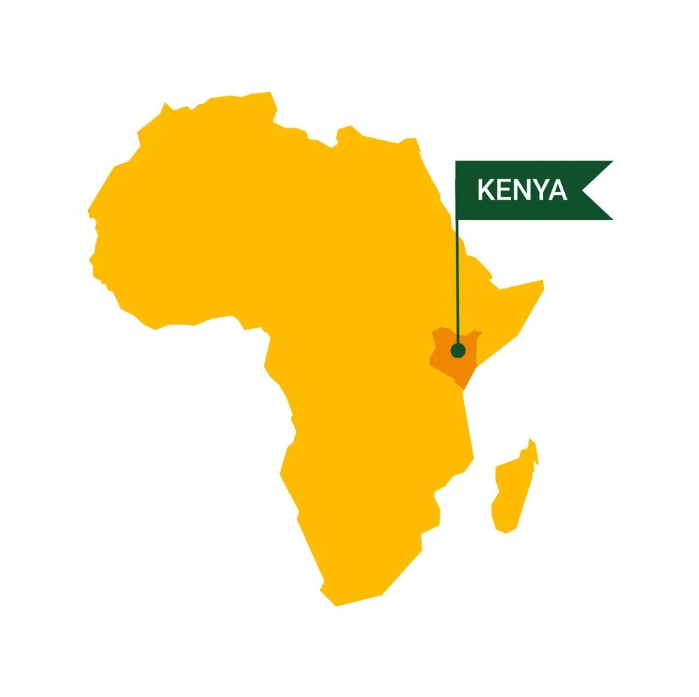 EcoVibe Kenya